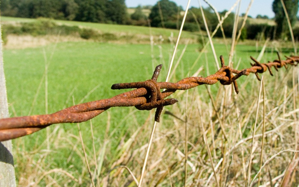 Como o arame farpado mudou a propriedade privada | Mundo | G1