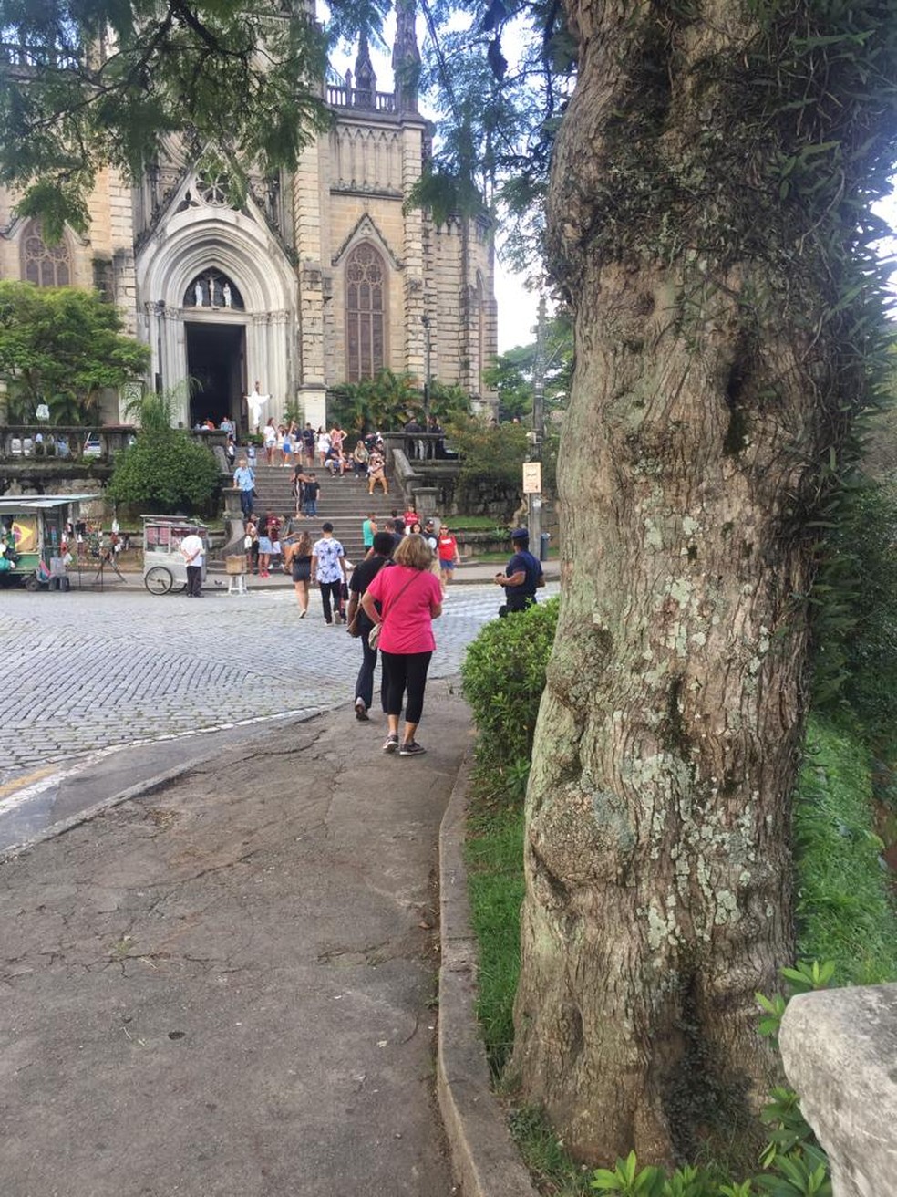 Vídeo flagra invasão de lagartas no RJ; 'a maior quantidade de bicho ...