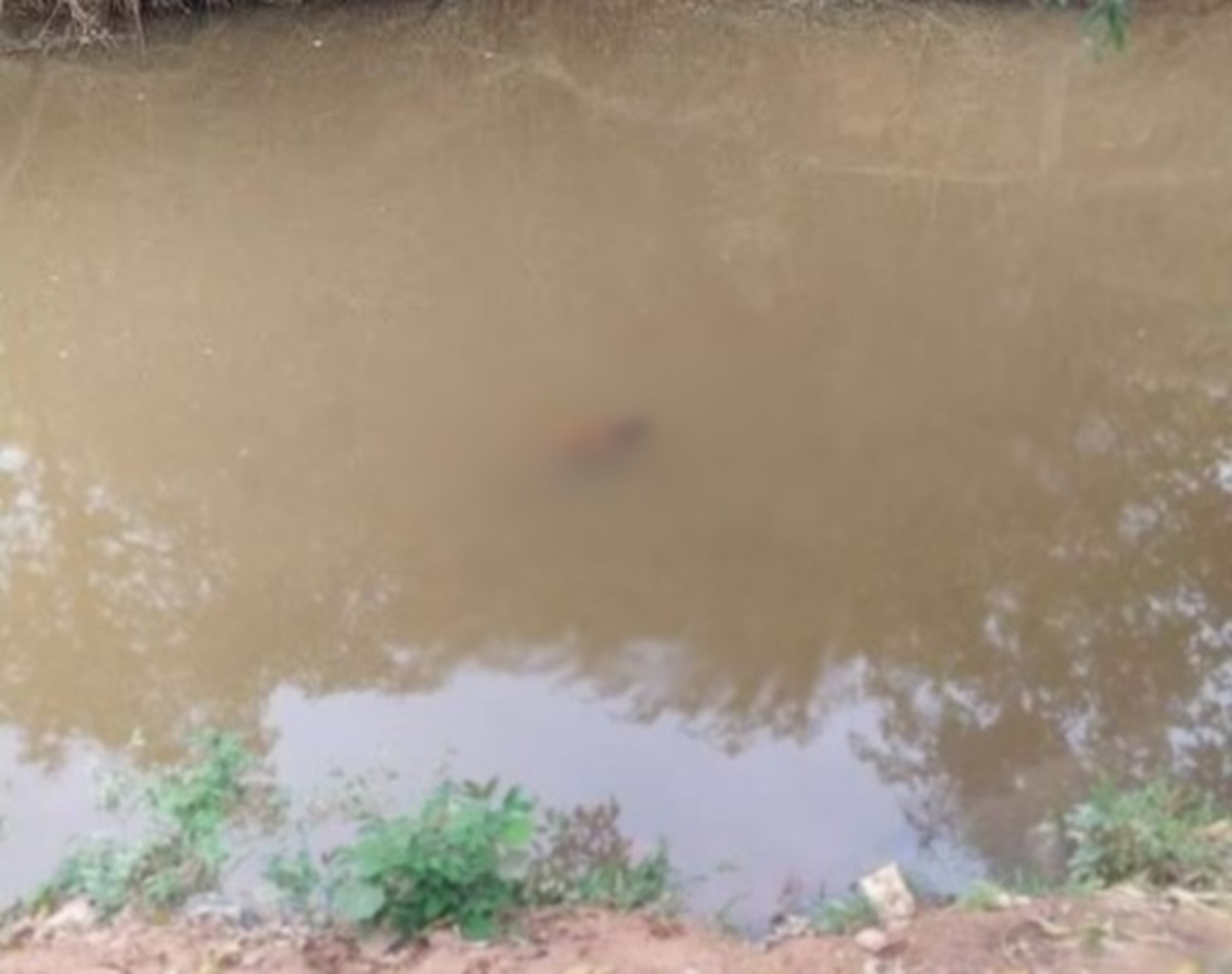 Homem leva pancada na cabeça da esposa, se joga em rio e é encontrado ...