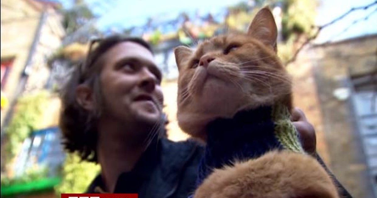 G1 - Adoção de gato transforma cantor de rua de Londres em escritor ...