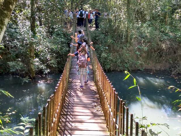 G1 - Parque Estadual do Morro do Diabo abre programação ambiental ...