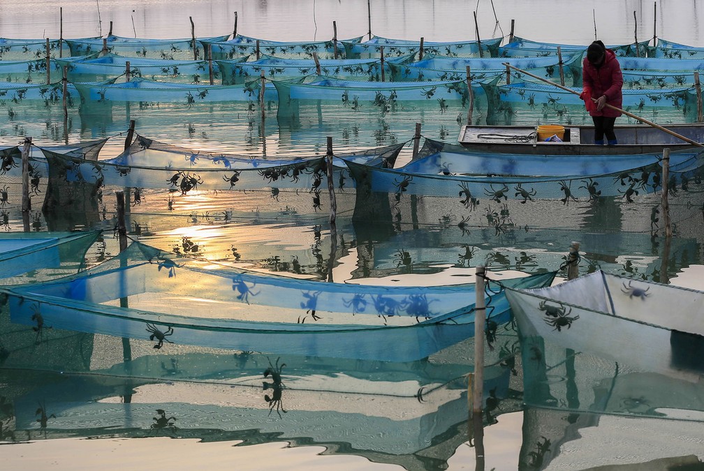 Imagens da semana de 10 a 16 de novembro de 2018 | Mundo | G1