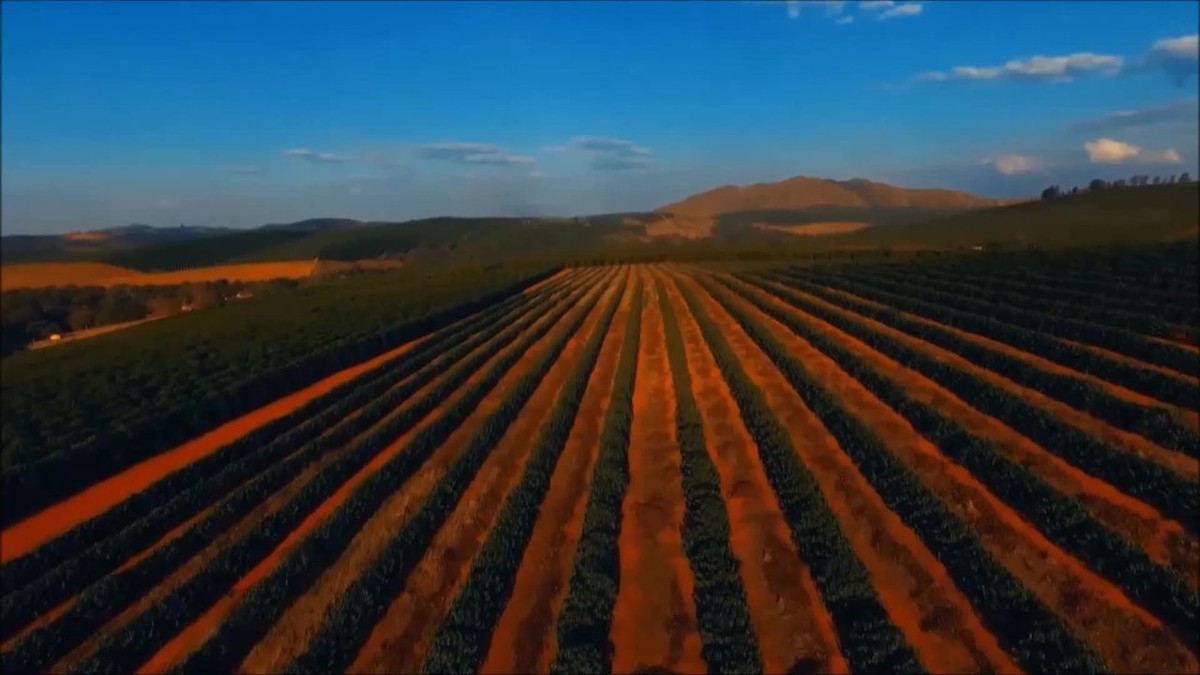 Agro na Globo mostrou a riqueza do campo brasileiro | Agro a indústria ...