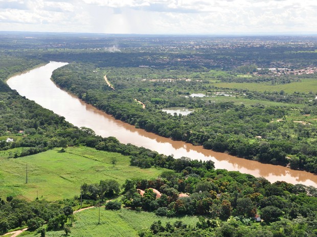 G1 - Em 6 anos, 75 mil mudas foram plantadas às margens do Rio Cuiabá ...