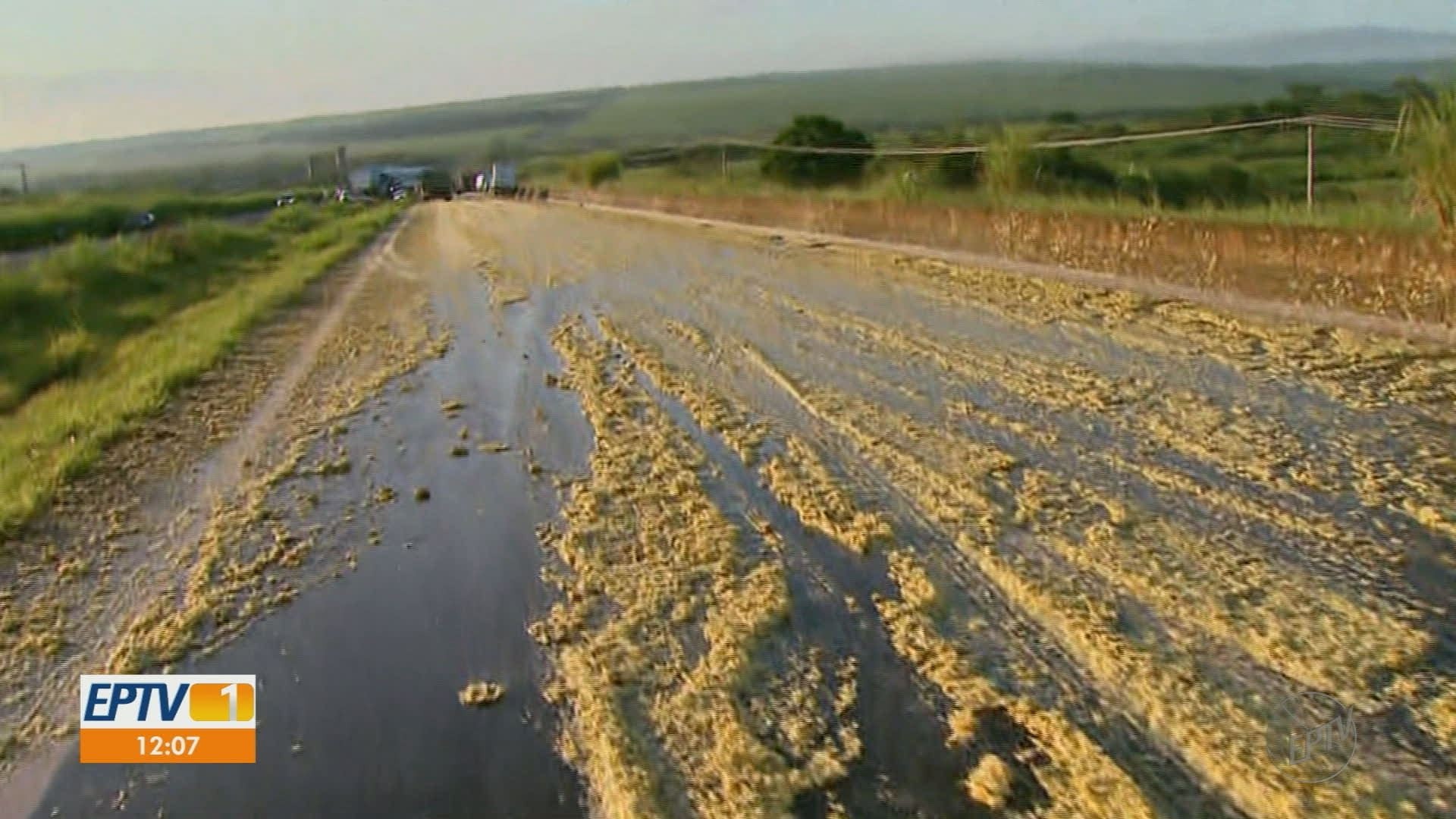 VÍDEOS: EPTV 1 Ribeirão Preto de segunda-feira, 15 de abril | Ribeirão ...