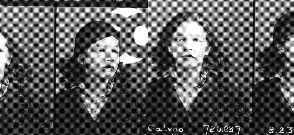 Nossa caetanista Pagu | Caetano de Campos