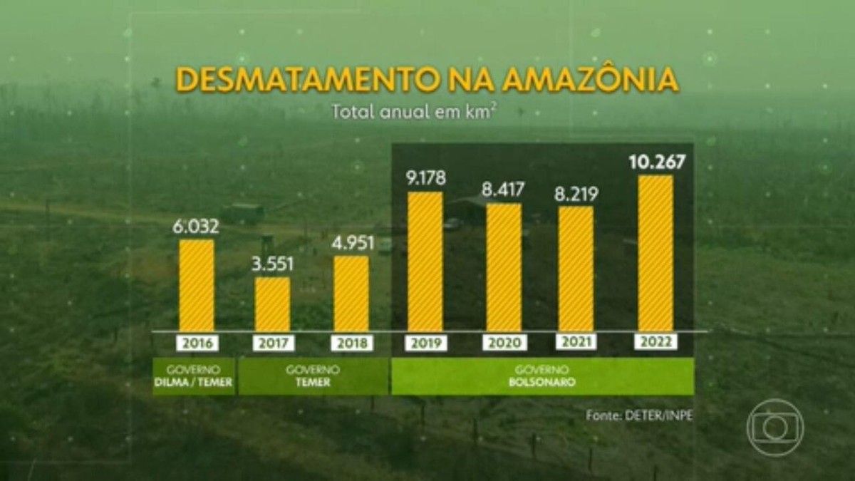 Inpe Divulga Recorde De reas Com Alertas De Desmatamento Na Amaz nia