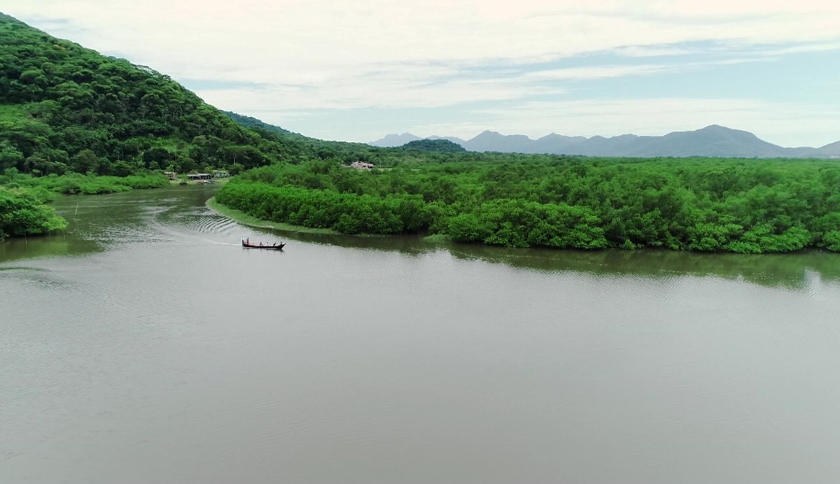 Aventura e contato com a natureza: passeie por Ilha Rasa com o 'Plug ...