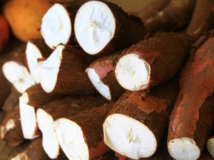 G1 - Mestre em alimentos lista produtos do AM e seus benefícios para a ...