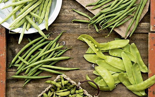 Vagem: conheça a origem, os tipos e aprenda 7 receitas com o legume ...