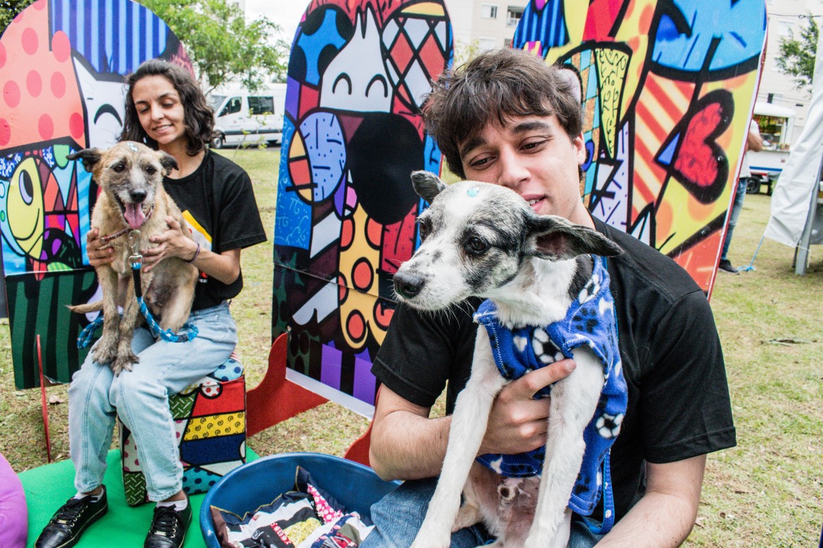 Confira tudo que rolou na 16ª edição do Festcão | Festcão | Rede Globo