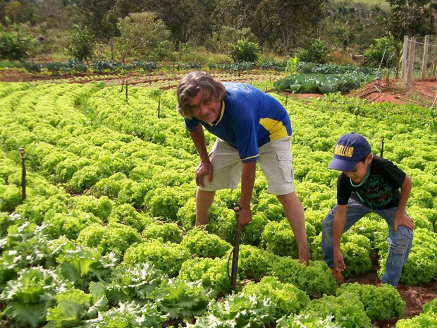 G1 - Assentamentos entregam alimentos para 60 mil alunos de Uberlândia ...