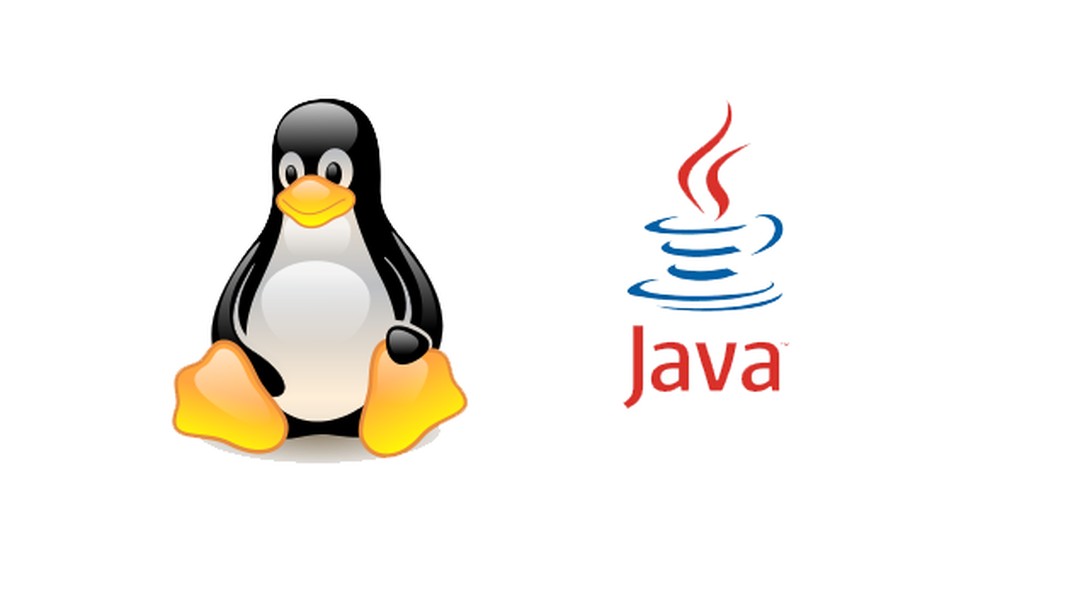 Java Runtime | Software | TechTudo