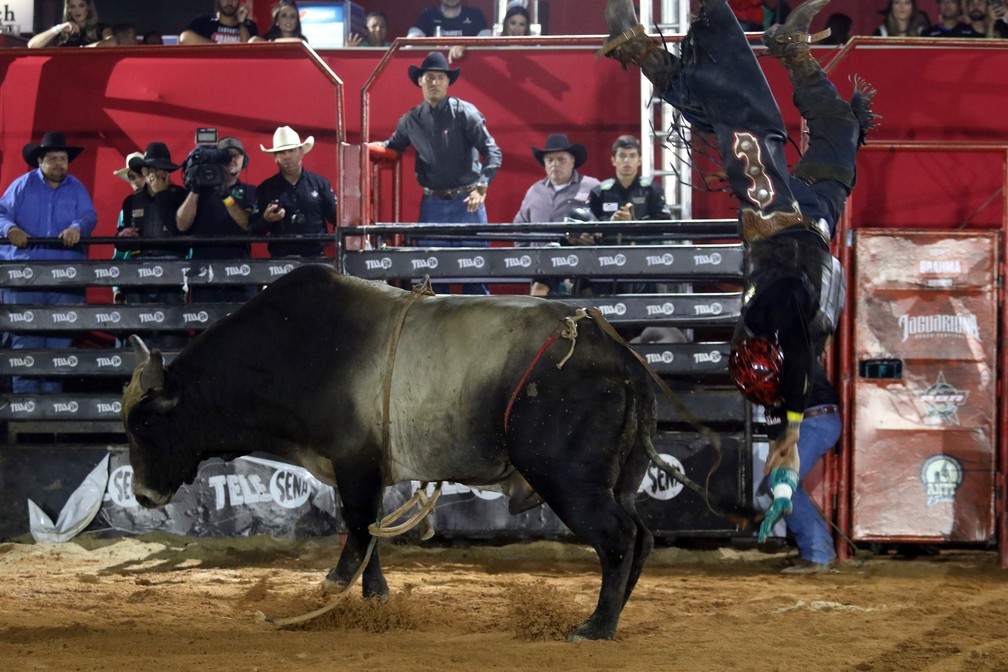 Jaguariúna Rodeo Festival 2019: tudo o que você precisa saber para ...