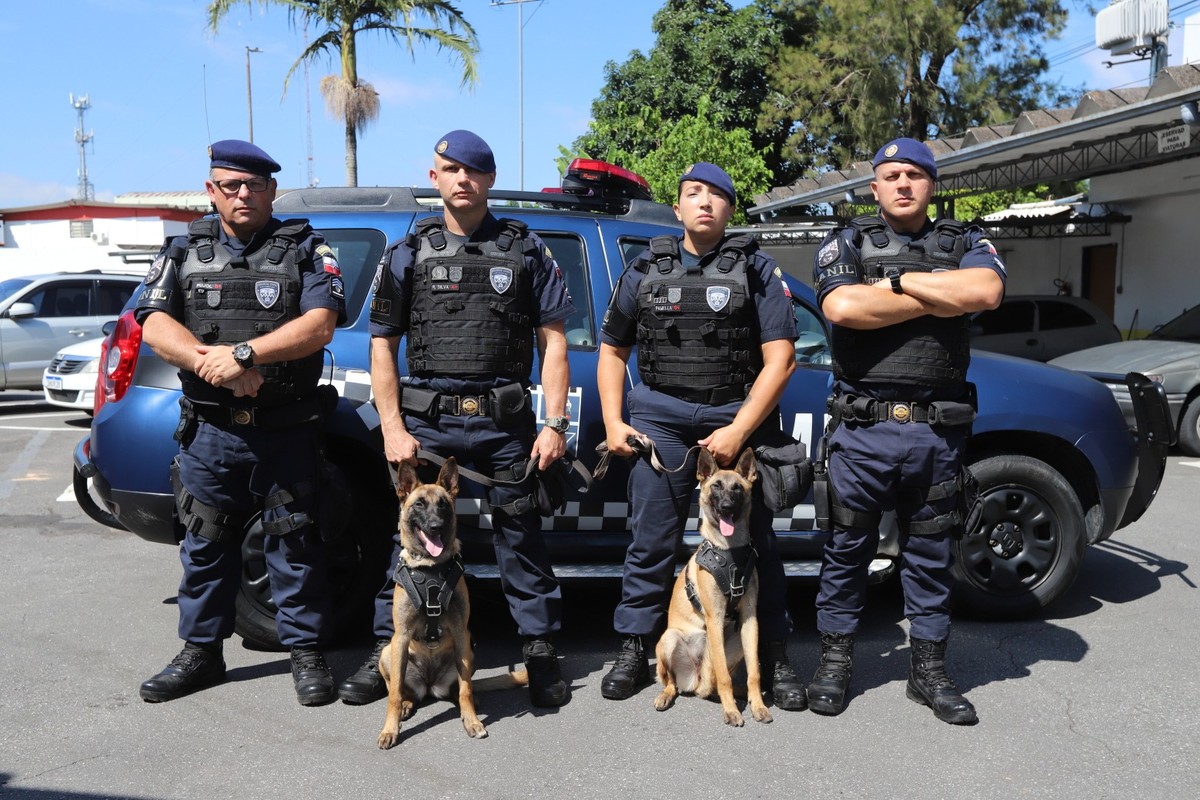 Guarda Municipal Treina Dois Filhotes De Cães Farejadores Em Jacareí