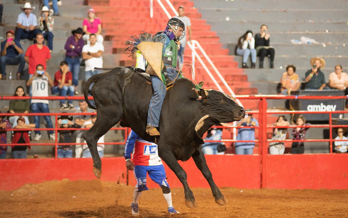 Projeto de lei que regulamenta rodeios em São Carlos é aprovado pela ...
