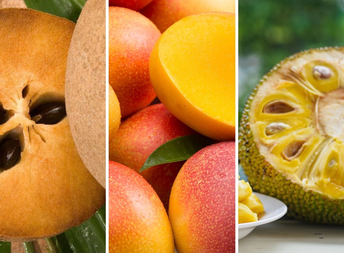 6 frutas com boa oferta para consumir em novembro e melhorar a saúde ...
