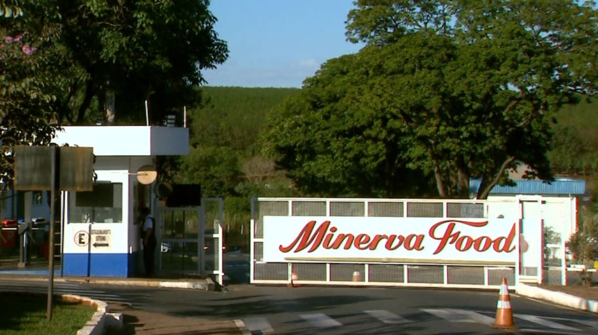Minerva tem lucro de R$ 58,3 milhões no 3º trimestre | Economia | G1