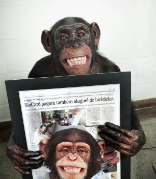 Macaco Xico, de 'Caras & bocas', vira estrela de campanha publicitária ...