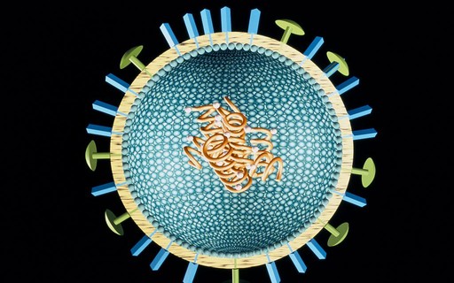 Produção de anticorpos por dose única da vacina da dengue é superior a ...