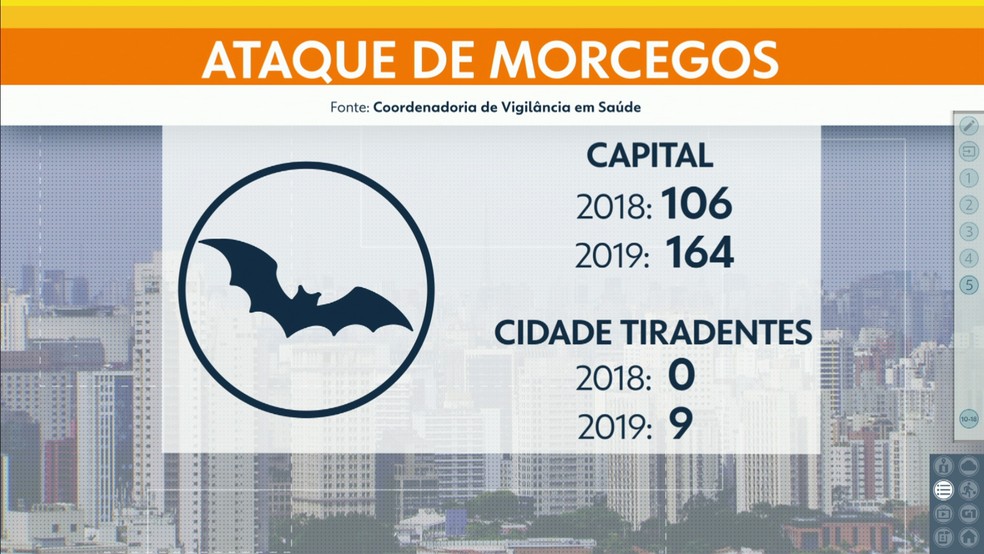 Olhar da Zona Leste: Ataques de morcegos aumentam 54% em São Paulo em 2019