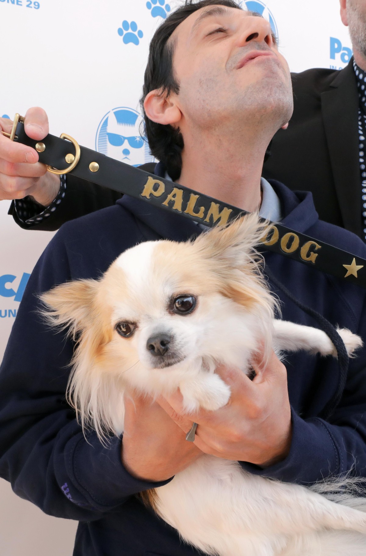 Elenco canino de 'Dogman' conquista a Palm Dog de Cannes | Cinema | G1