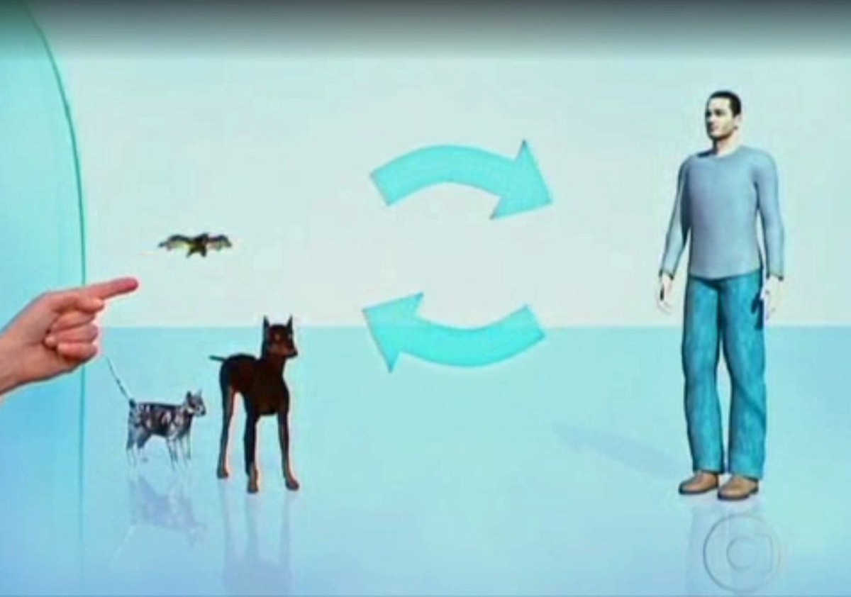 Raiva: o que é, transmissão, sintomas, diagnóstico e prevenção | Bem ...