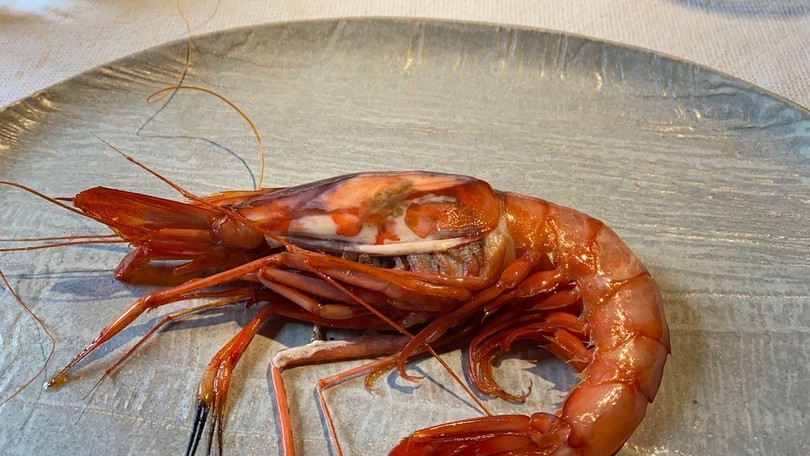 Alexandra Forbes | O GLOBO