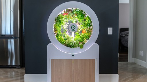 Esta horta circular permite o cultivo de vegetais dentro de casa