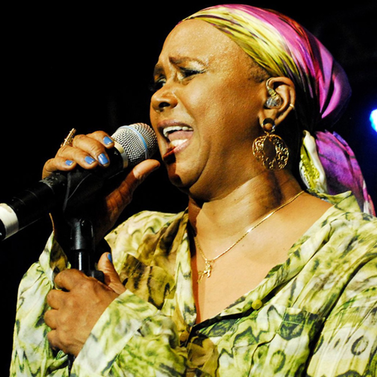 Sandra de Sá faz show gratuito no 'Grito Cultural' em Hortolândia; veja ...