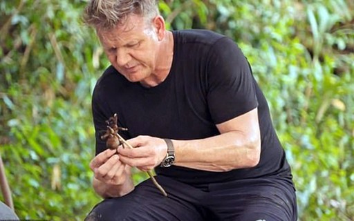 Gordon Ramsay surpreende fãs ao comer tarântula em programa de TV ...