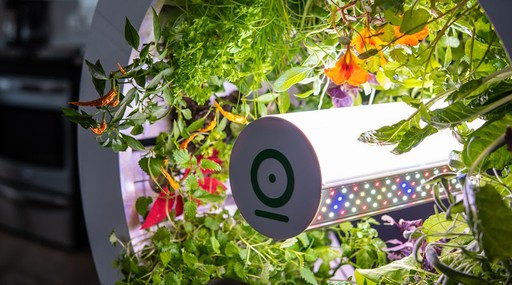 Esta horta circular permite o cultivo de vegetais dentro de casa