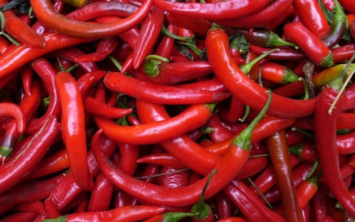 Tudo o que você precisa saber sobre a pimenta - Revista Galileu | Revista