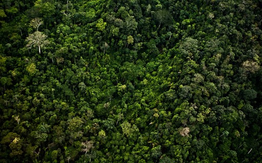 Logística é o maior desafio da exploração sustentável na Amazônia ...