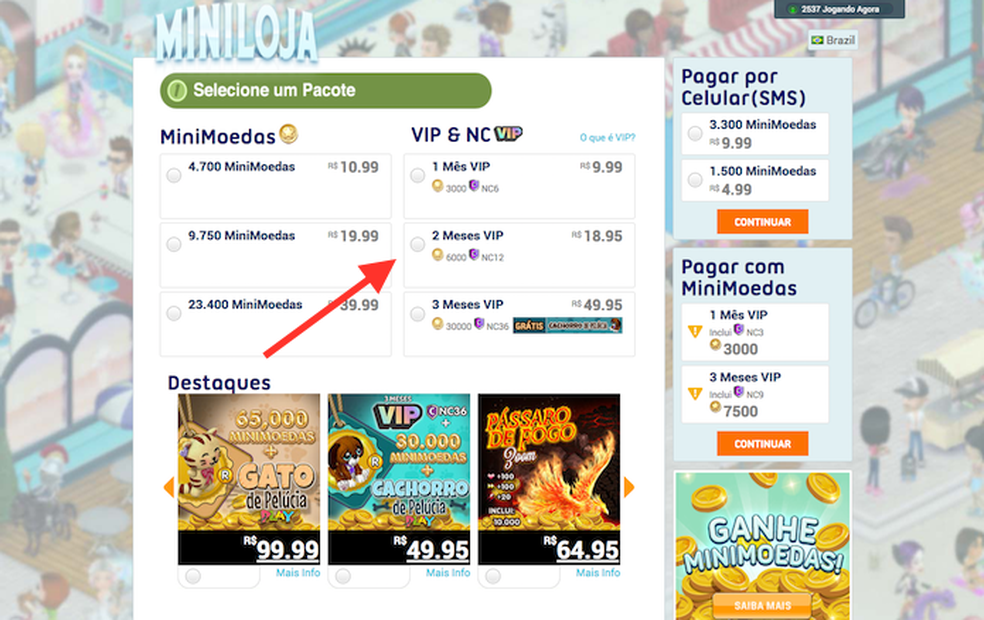 Como ser VIP em MiniMundos | Jogos simuladores | TechTudo