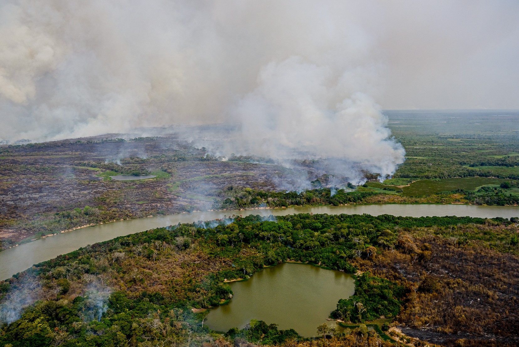 Volume De Queimadas No Pantanal Em 2020 Equivale à Destruição Dos