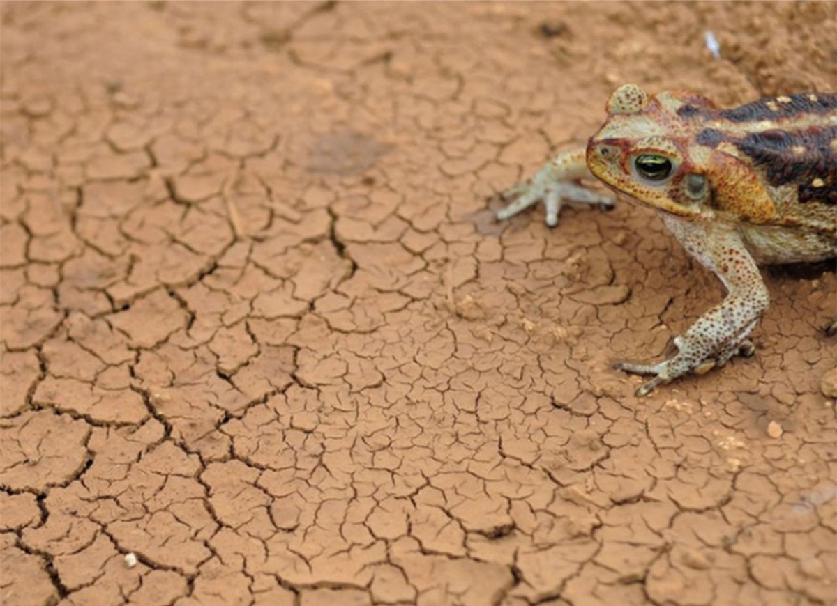 Com aquecimento global, secas na América do Sul podem aumentar até o ...