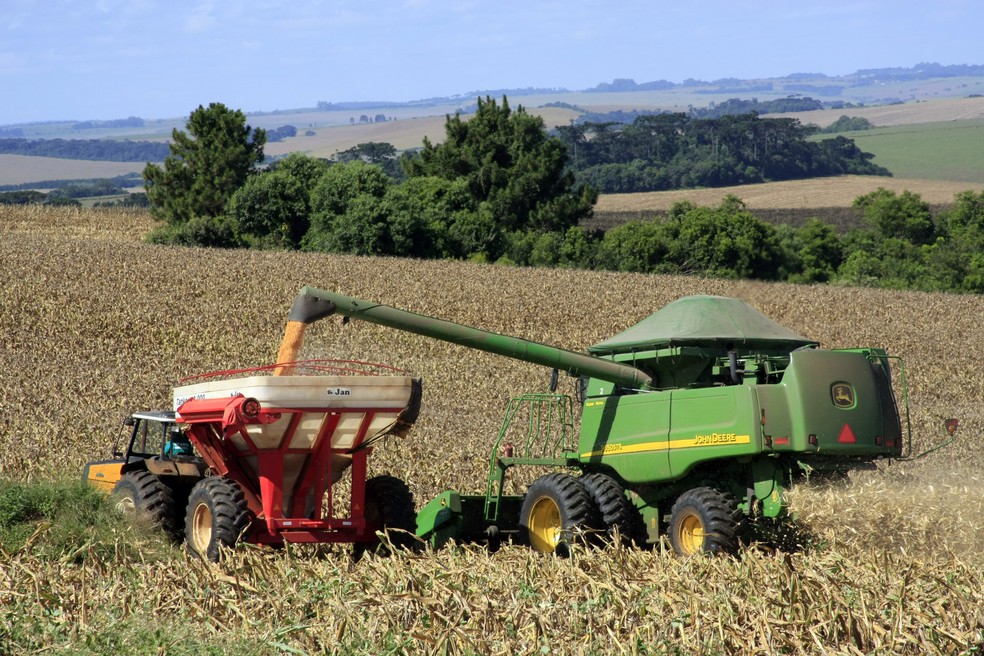 Secretaria da Agricultura terá sistema integrado de informação ...