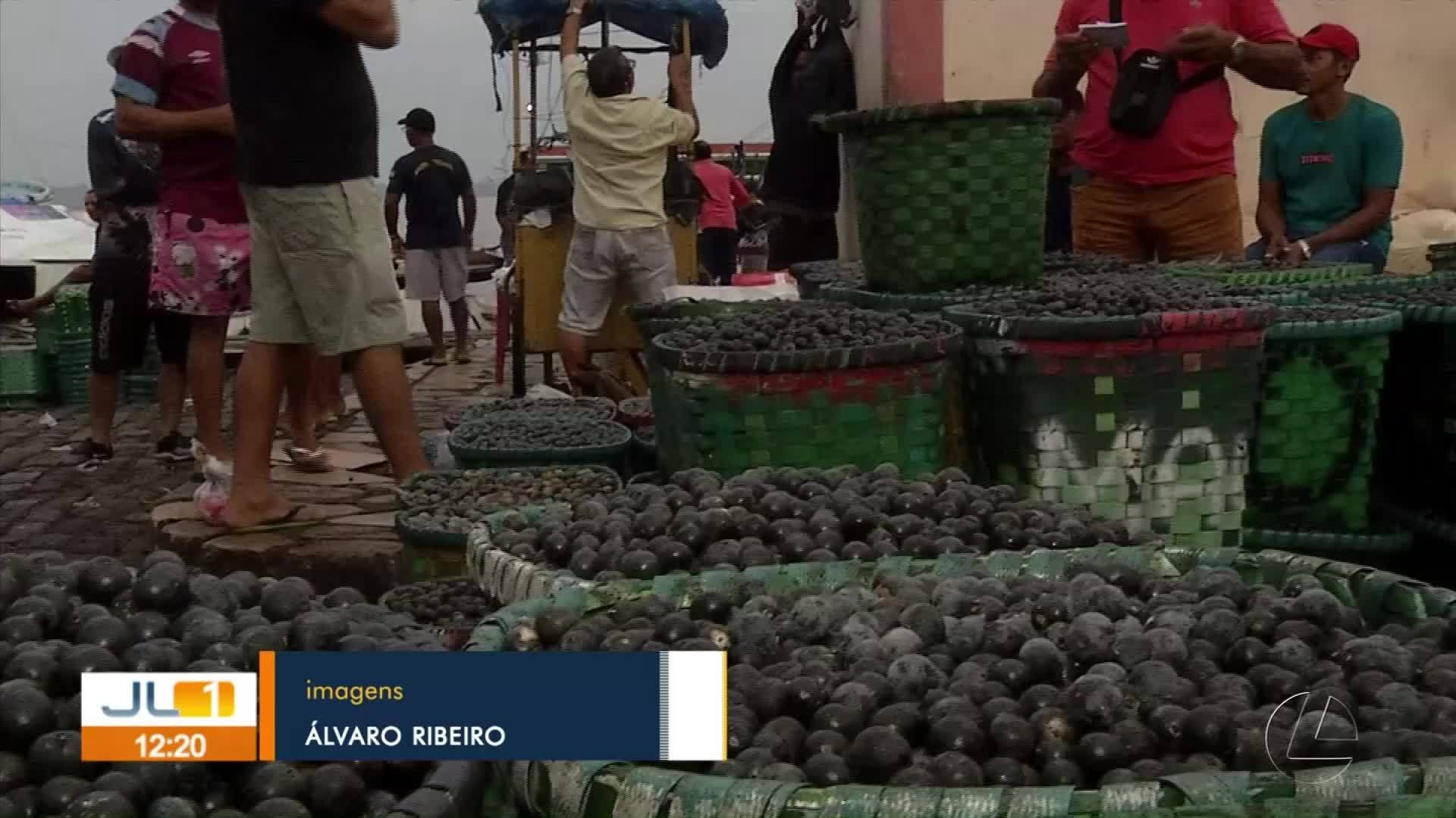 VÍDEOS: JL1 de sábado, 17 de fevereiro de 2024 | Pará | G1