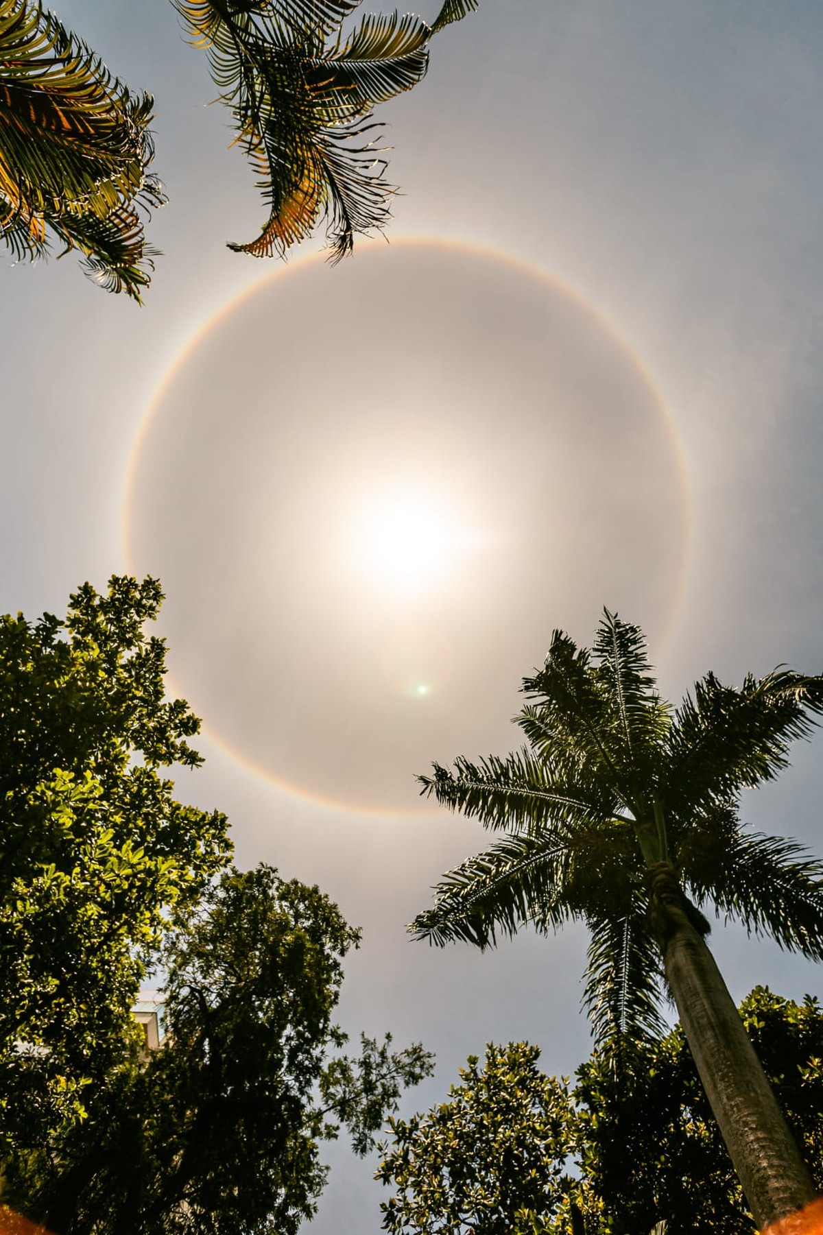 Halo solar cria arco-íris ao redor do astro no Rio; entenda o fenômeno ...
