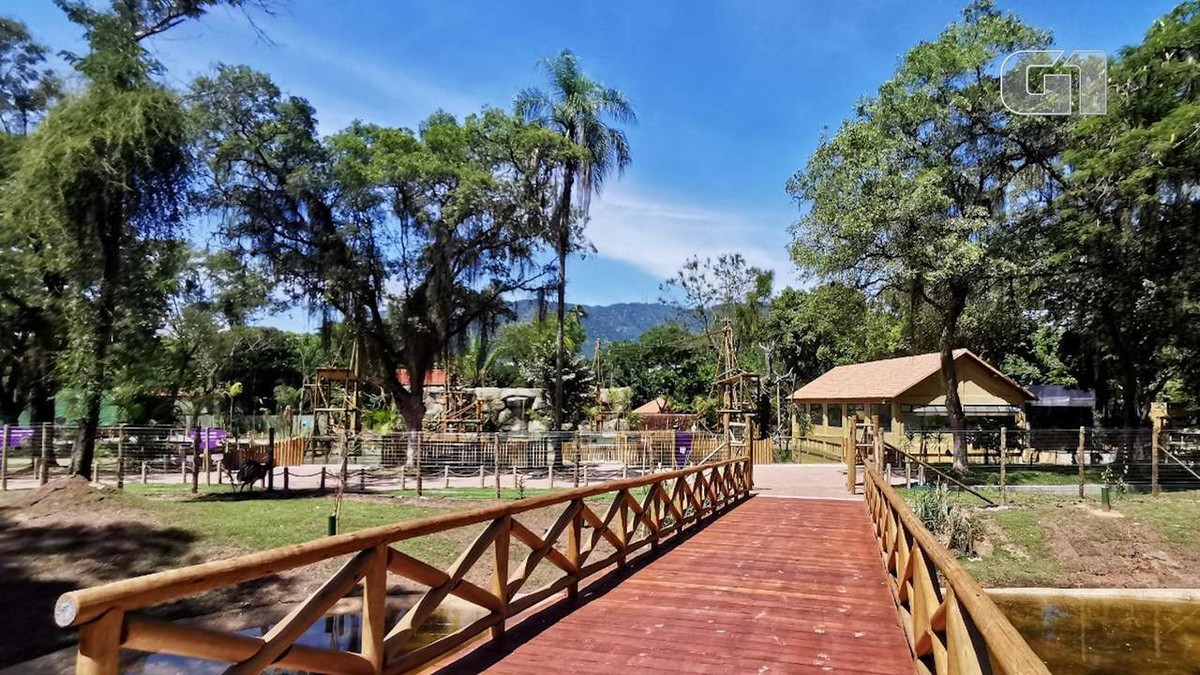 Passeio dentro do viveiro das aves, safari com hipopótamos e onça negra ...