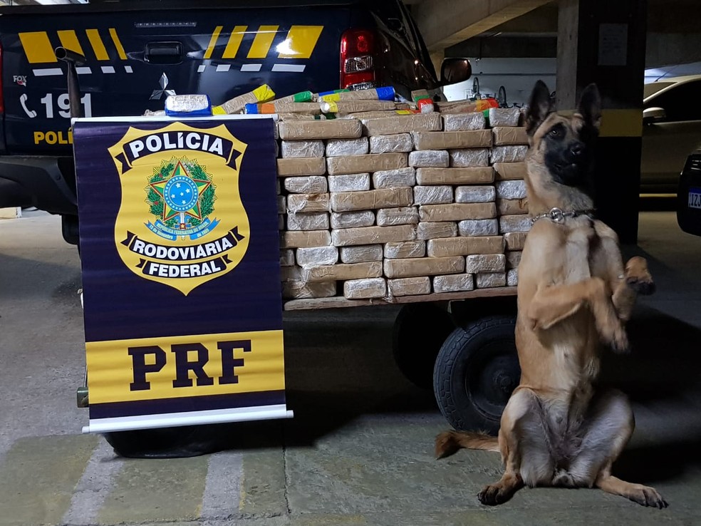Prf Apreende Mais De 350kg De Pasta Base De Cocaína Em Gravataí Com