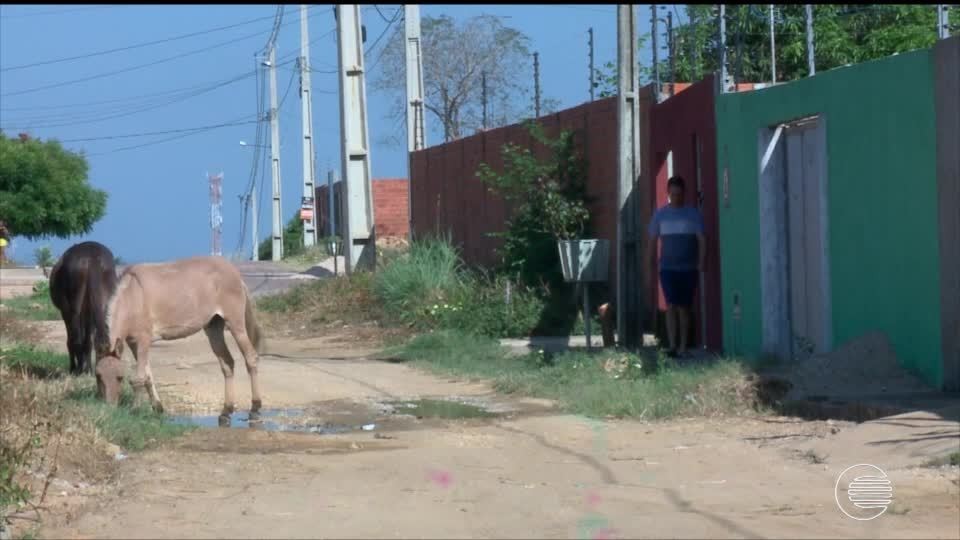VÍDEOS: PITV 1ª edição de segunda-feira, 20 de agosto | Piauí | G1