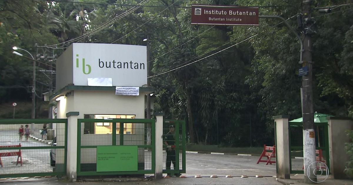 Bom Dia Brasil - Desvio de R$ 30 milhões do Butantan tem 11 denunciados ...