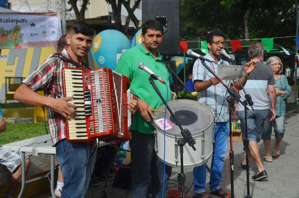 Agricultores desenvolvem ‘fubá da paixão’ artesanal, feito de milho ...