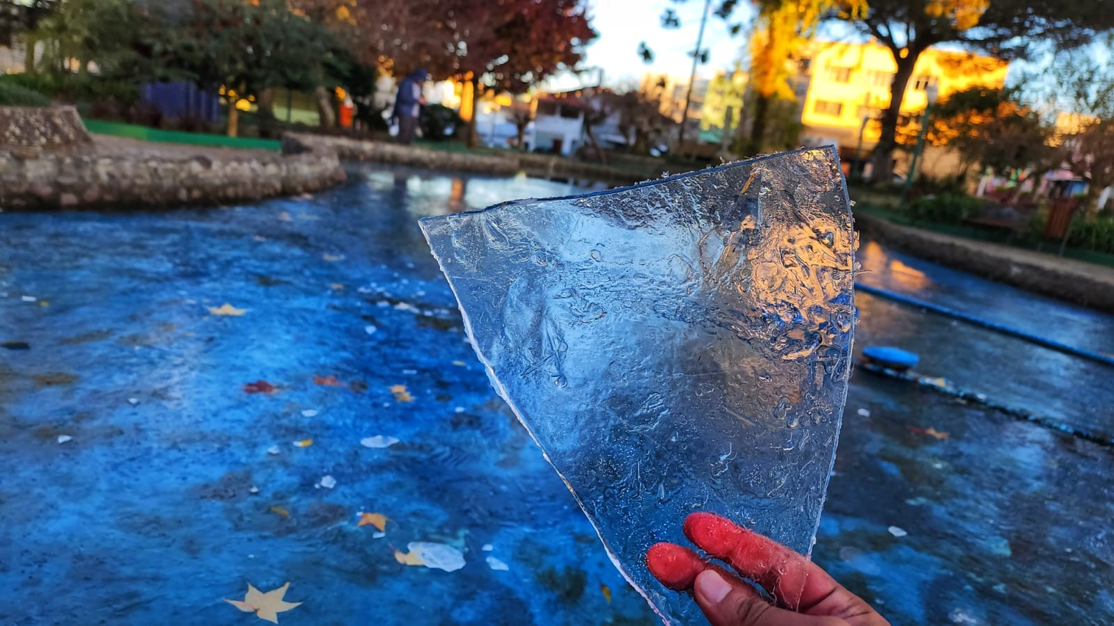 Frio intenso avança no Sul e congela lago e até árvores; veja fotos e ...