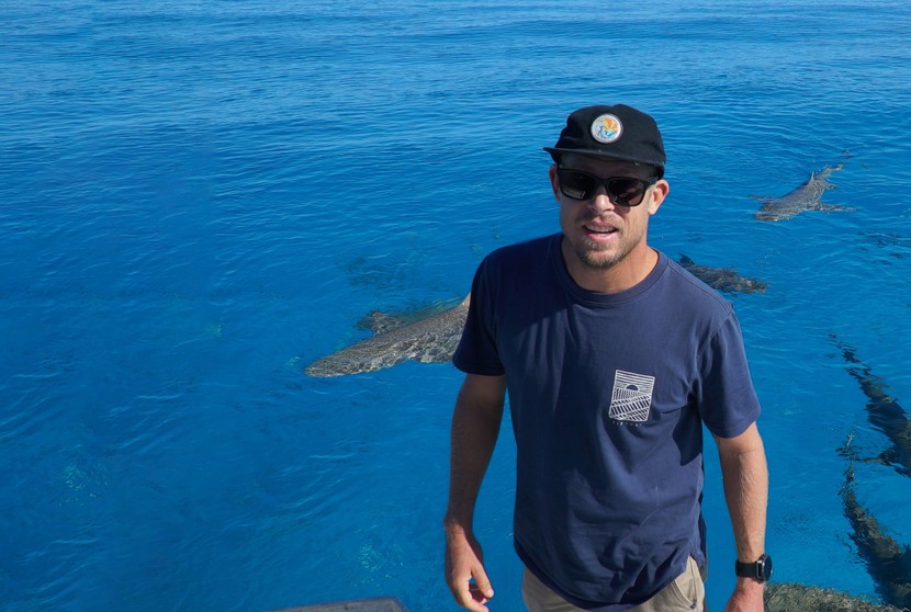 Assistir Save This Shark online no Globoplay