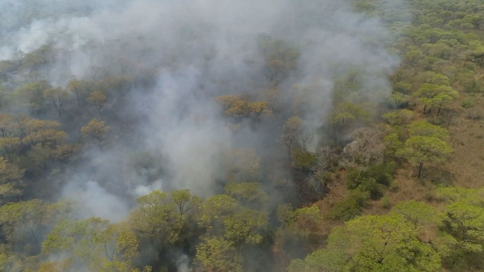 Mt Faz Operação Contra Crimes Ambientais E Incêndios No Pantanal Com