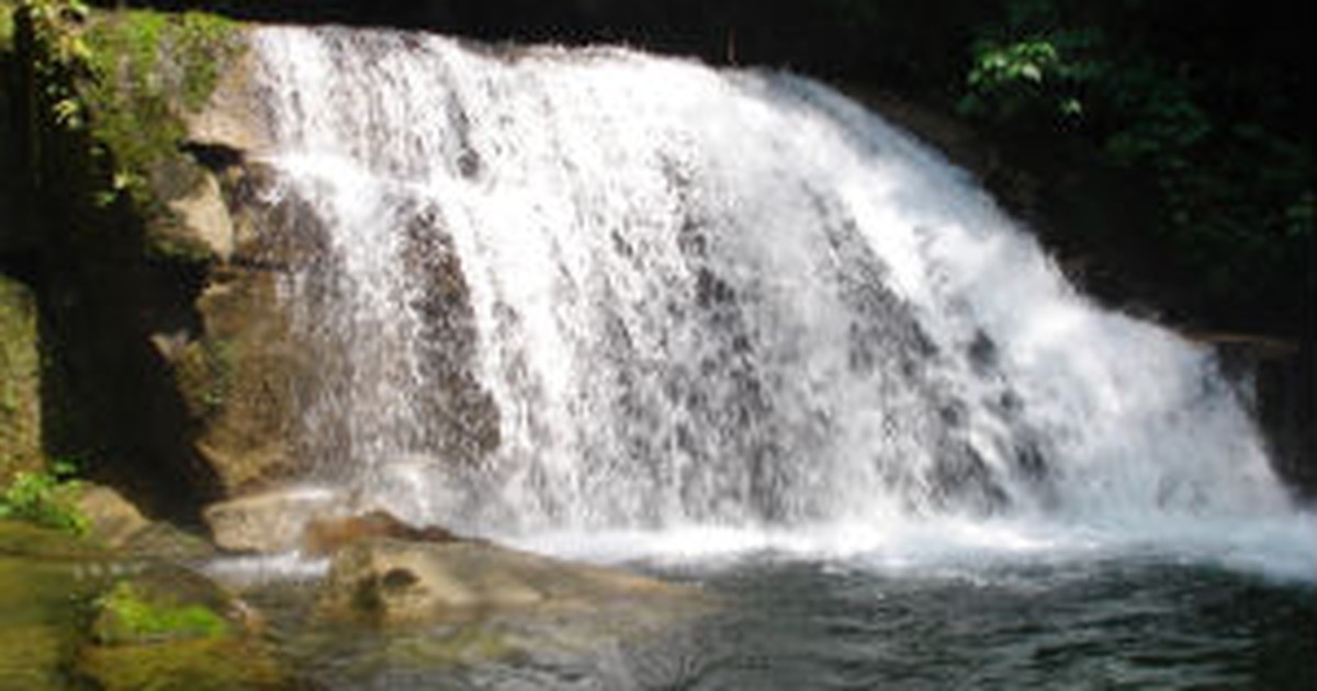 G1 - Parque Estadual Carlos Botelho atrai visitantes a São Miguel ...