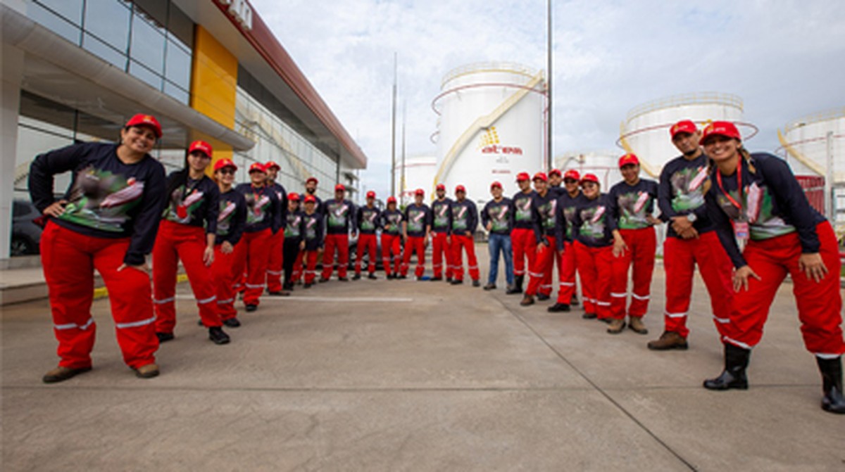 “O meio ambiente é de suma importância para a Atem” | Especial ...